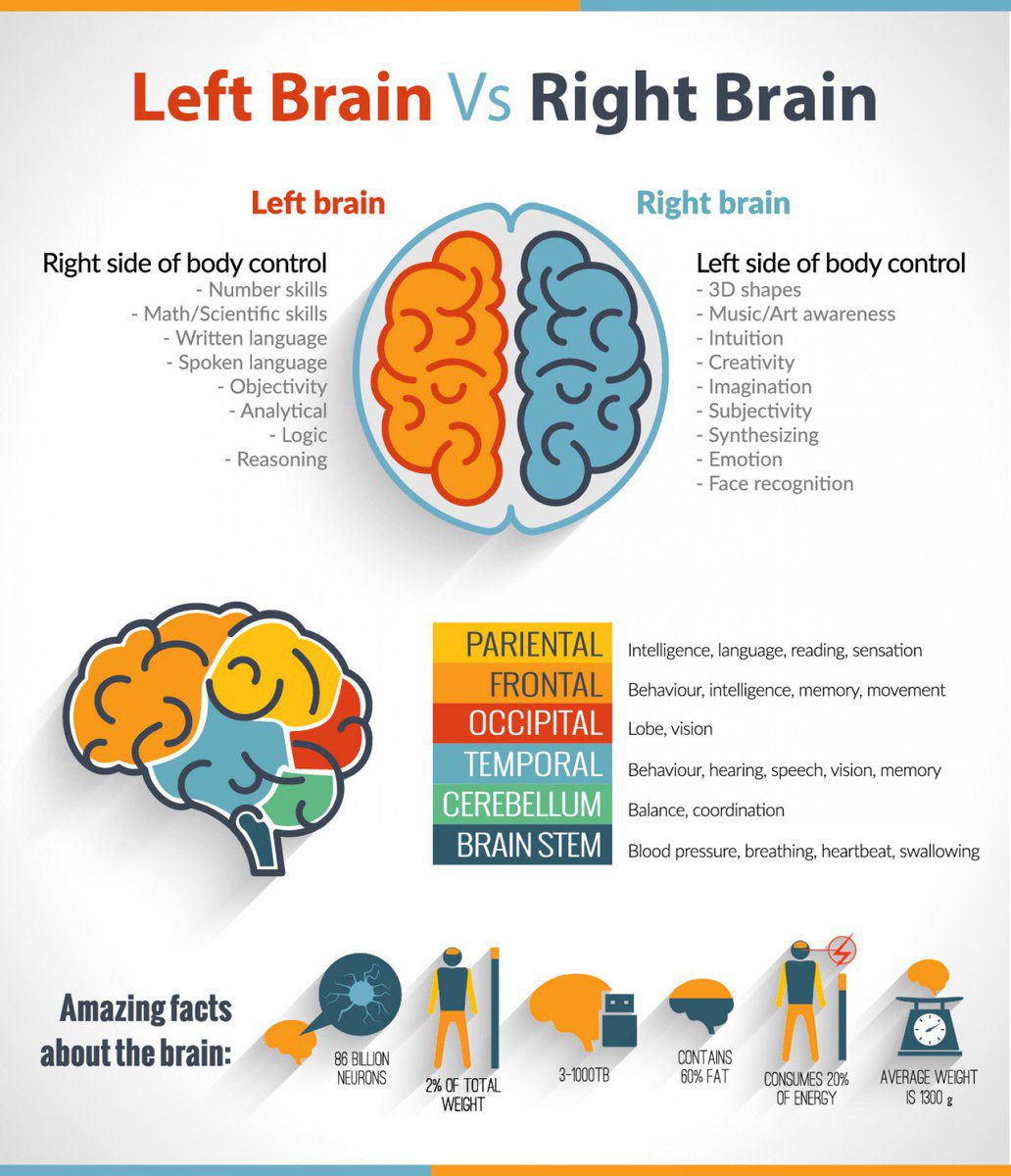 Understanding the difference between Left vs. Right-Brain Personality Types