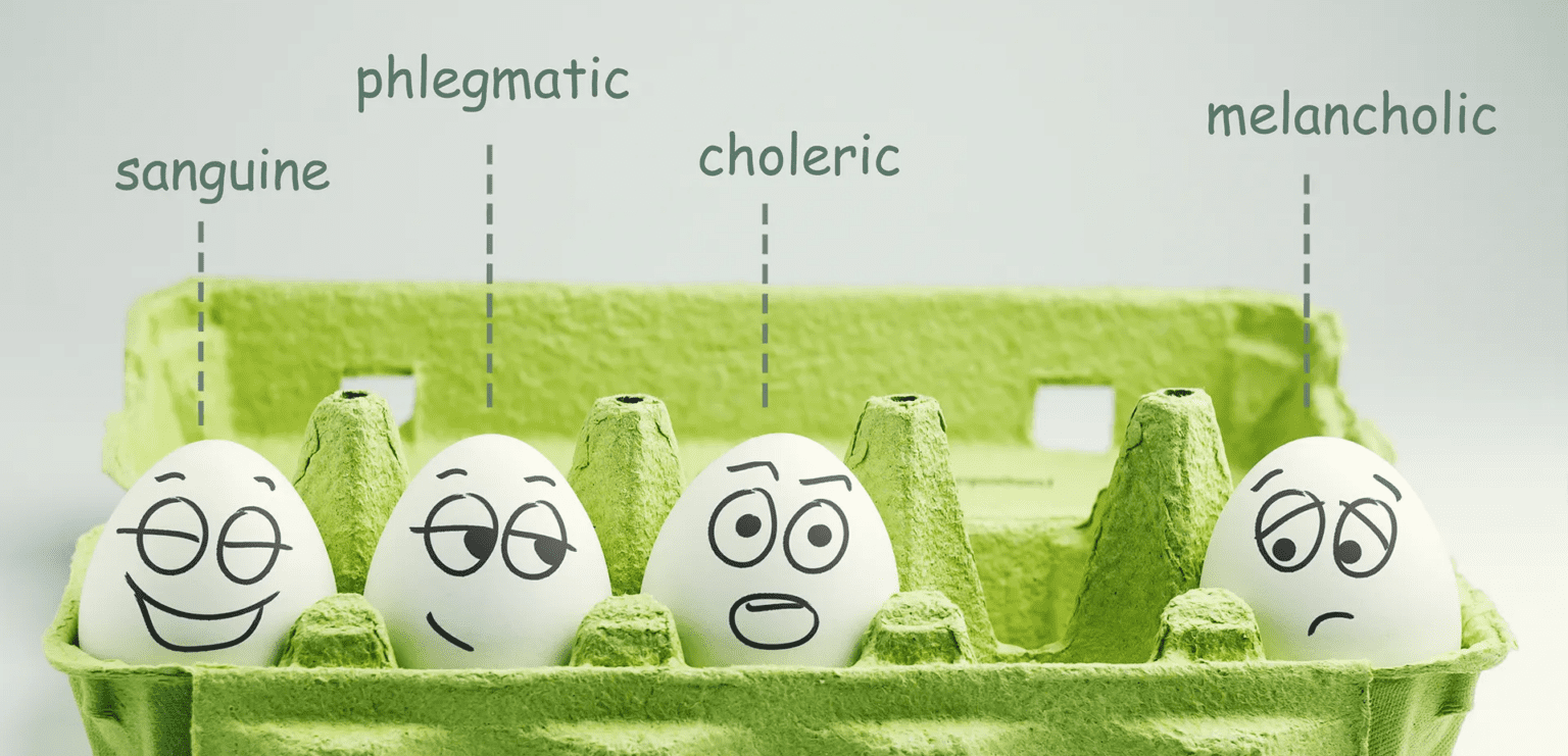 Understanding the "Expressor-Talker" Sanguine Personality Temperament