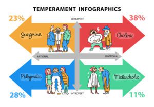 Understanding the 4 "Naturally Instinctive" Personality Temperaments